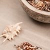 Decoratie schelp Liv - Noa May